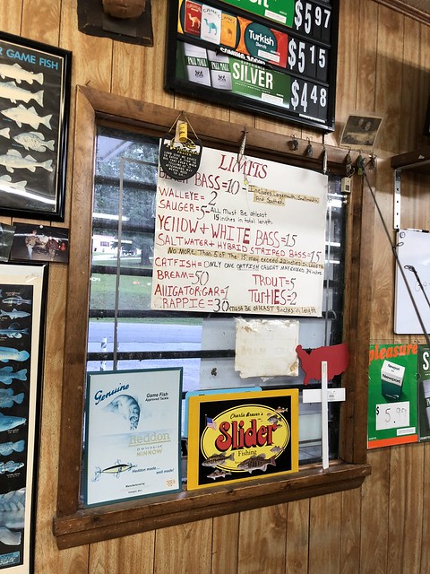 Alligator Gar = 1. – Deep Fried Kudzu